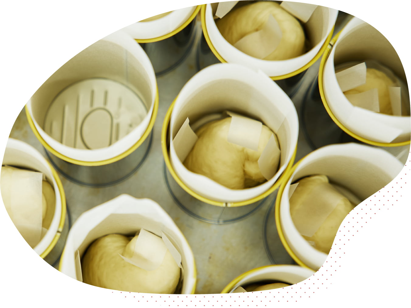 製品紹介｜ Bread Wonder Factory まもるんパン