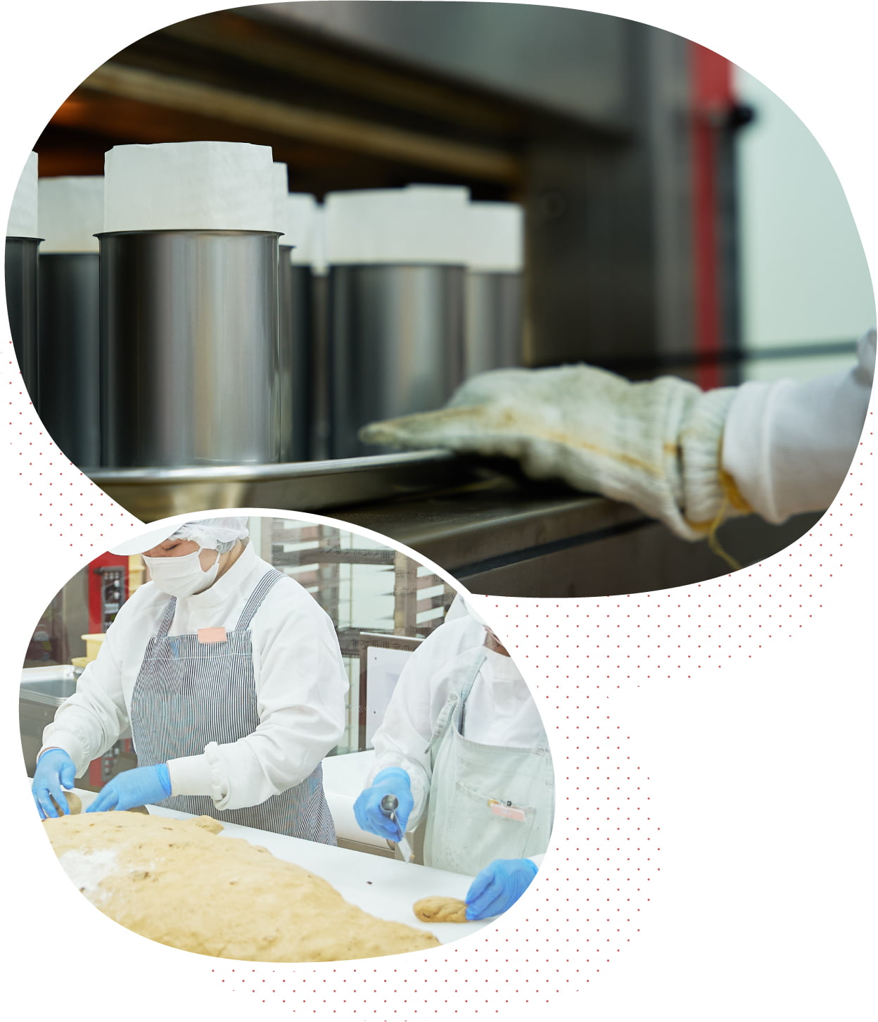 製品紹介｜ Bread Wonder Factory まもるんパン